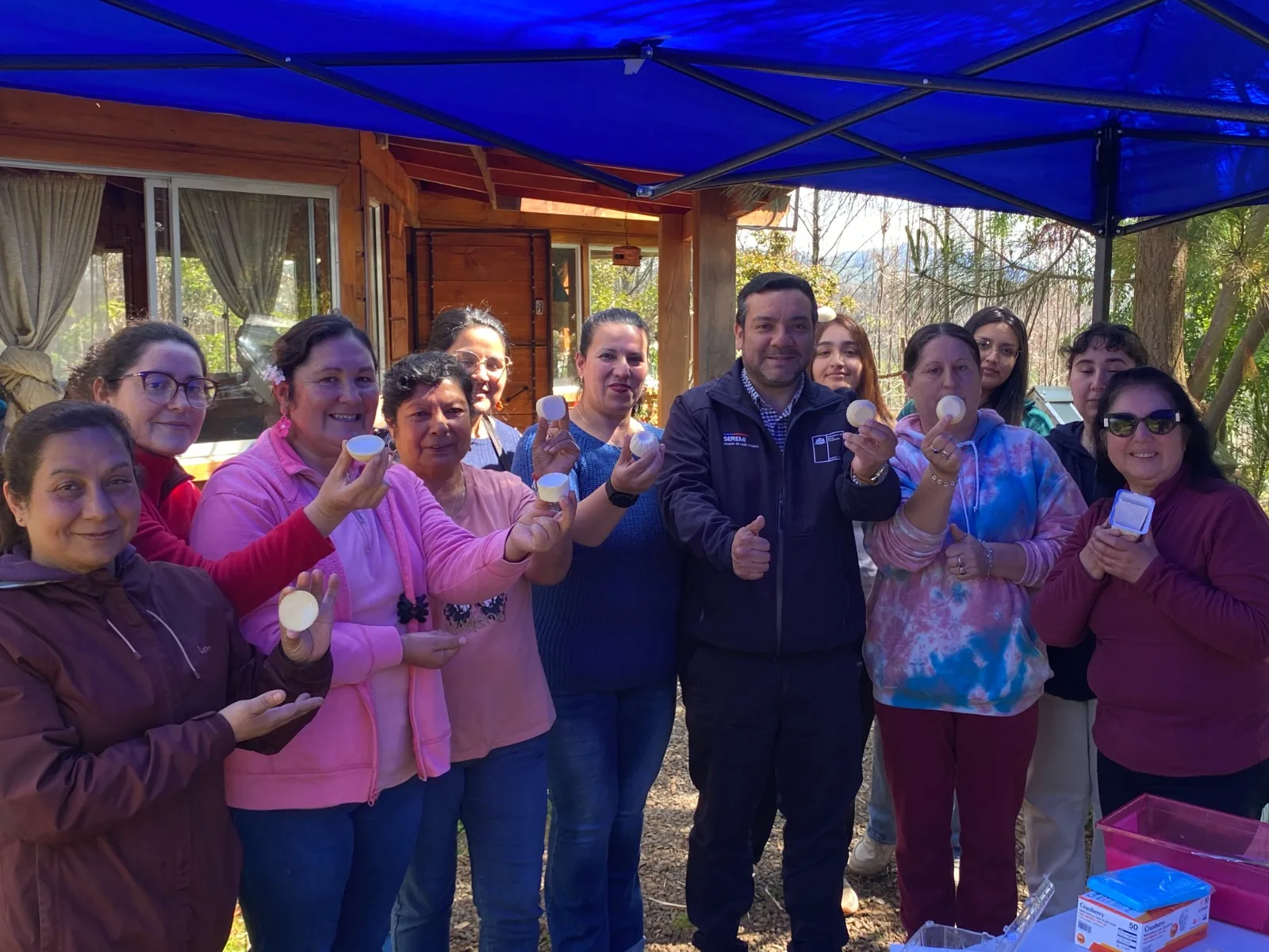 Mujeres de Collipulli crean limpieza sustentable - Alerta Noticias ...